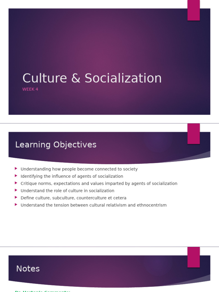Culture and Socialization Online | PDF