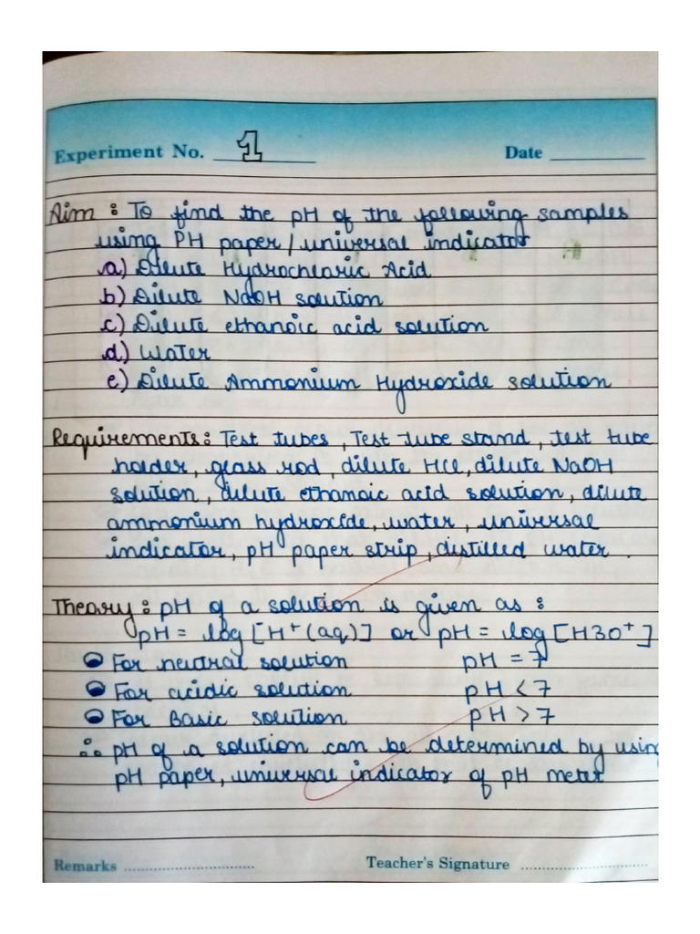 Class 10 Chemistry Practical File | PDF