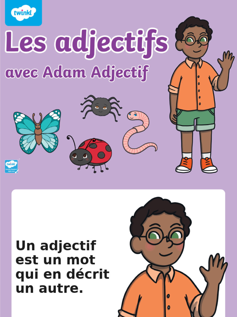 Les Adjectifs | PDF
