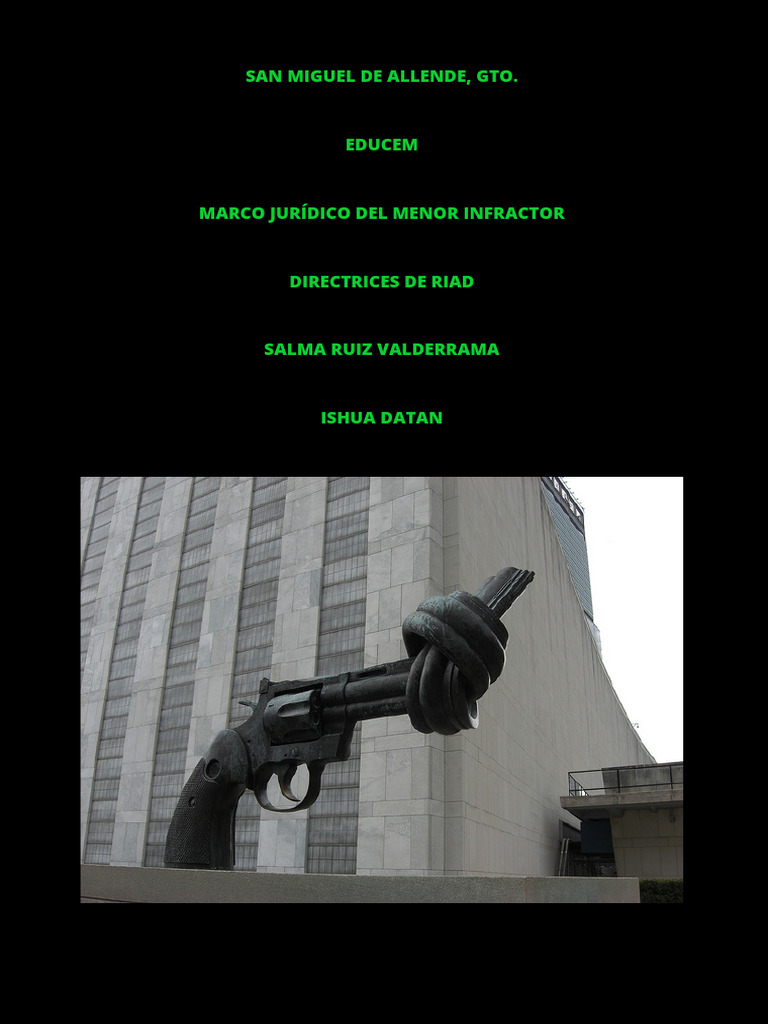 Directrices Riad | PDF