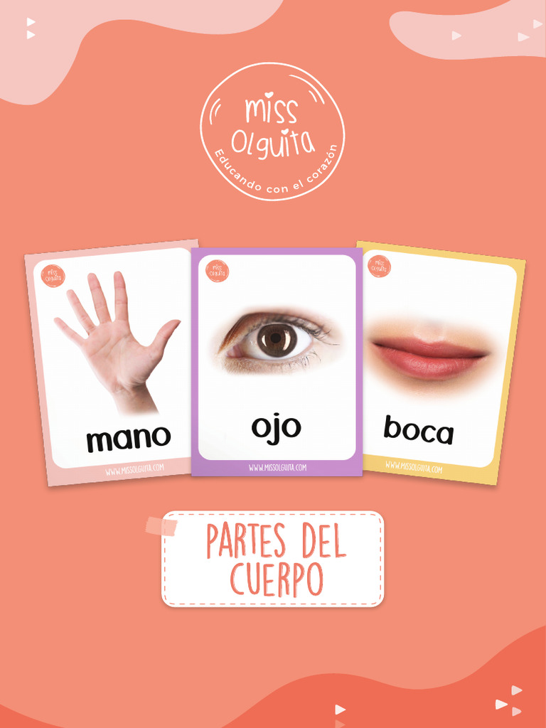 Flashcards Partes Del Cuerpo | PDF | Estilo de vida