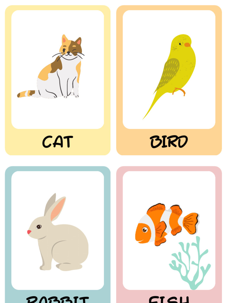 PETS Flashcard | PDF