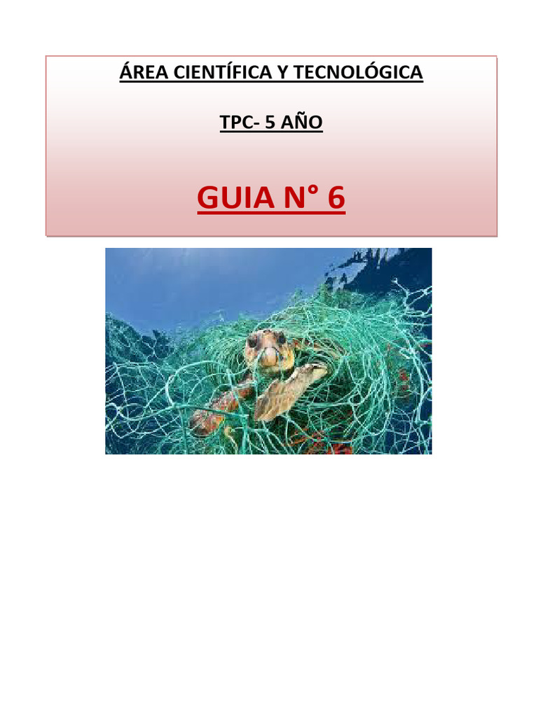 Guia 6 TPC 5to 2024 | PDF