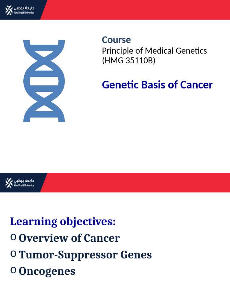 11-Genetic Basis of Cancer | PDF