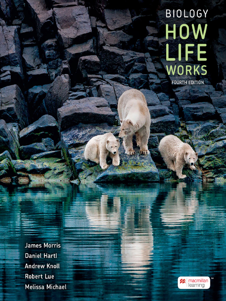 Biology How Life Works 4th Edition by James Morris | PDF