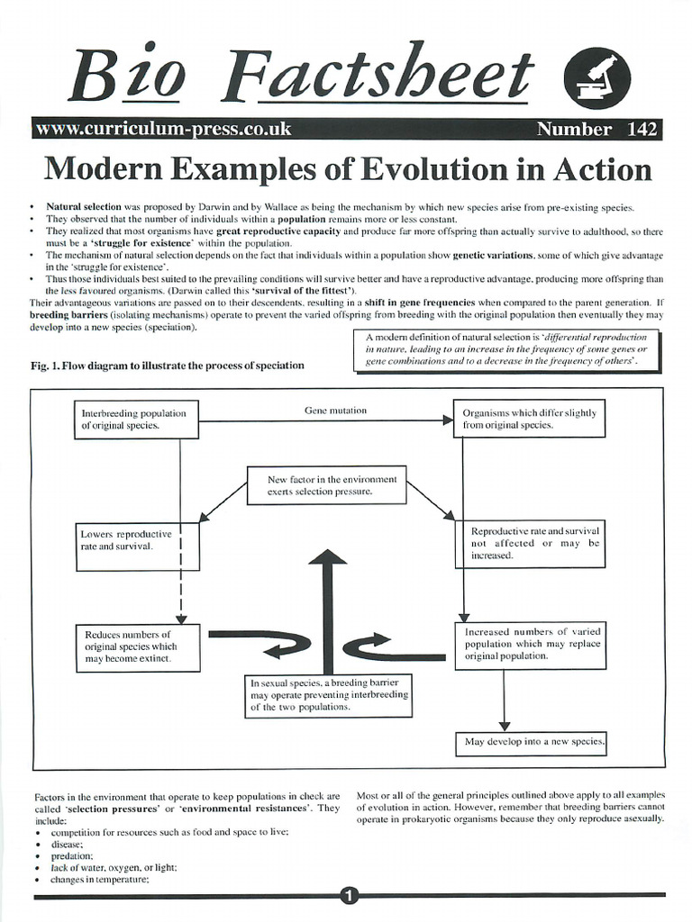 Modern Examples of Evolution in Action - 4 2 | PDF