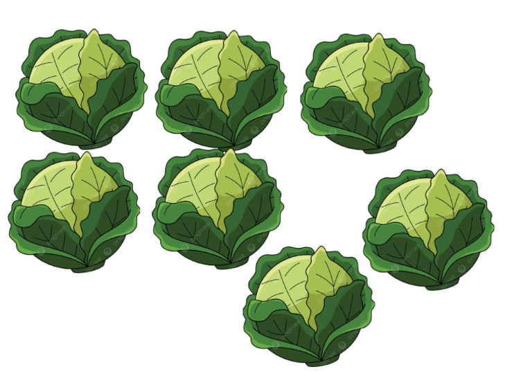 Cabbage Cut Outs | PDF