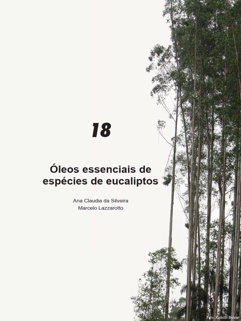 Sobre Eucaliptos Oleos Essenciais | PDF
