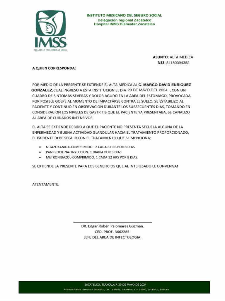 IMSS | PDF