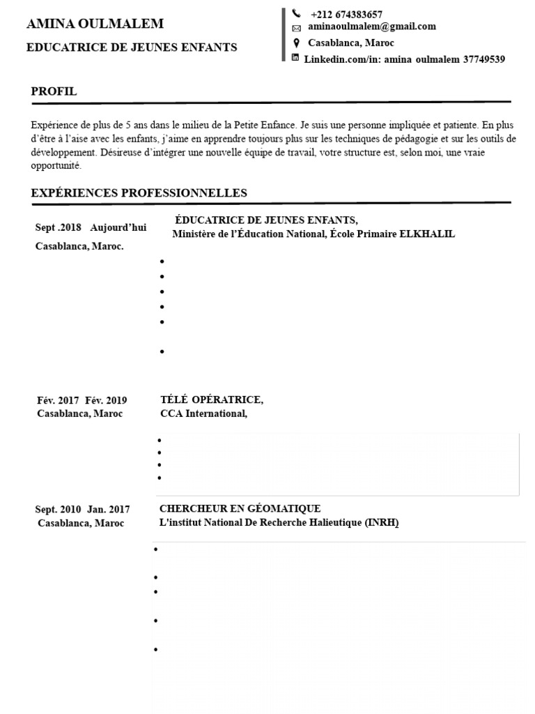 AMINA CV Bilingue | PDF