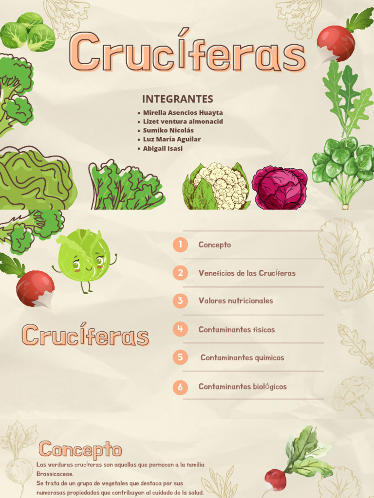 Cruciefras-Grupo O4 - 20230820 - 225718 - 0000 | PDF