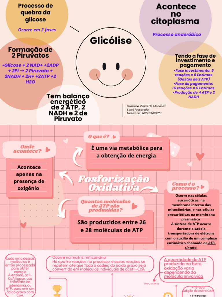 Mapa Mental (Glicolise, Ciclo de Krebs, Fosforização Exidativa e Beta ...