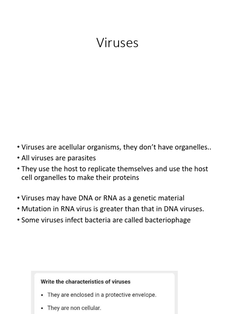 Viruses | PDF | Science & Mathematics