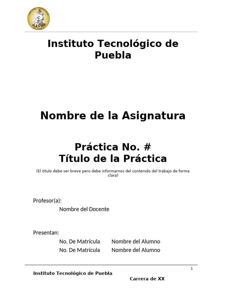 Formato Reporte ITP | PDF