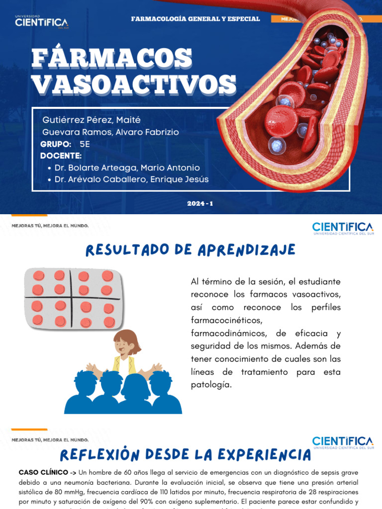 Fármacos Vasoactivos | PDF | Medicina CLINICA | Especialidades Medicas
