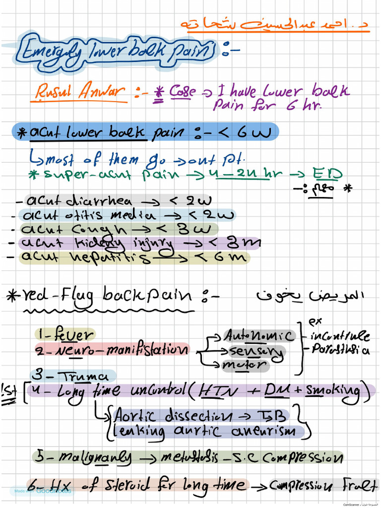 Emergency Back Pain | PDF