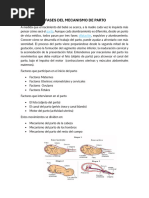 Asinclitismo en el Parto: Definición y Tipos | PDF