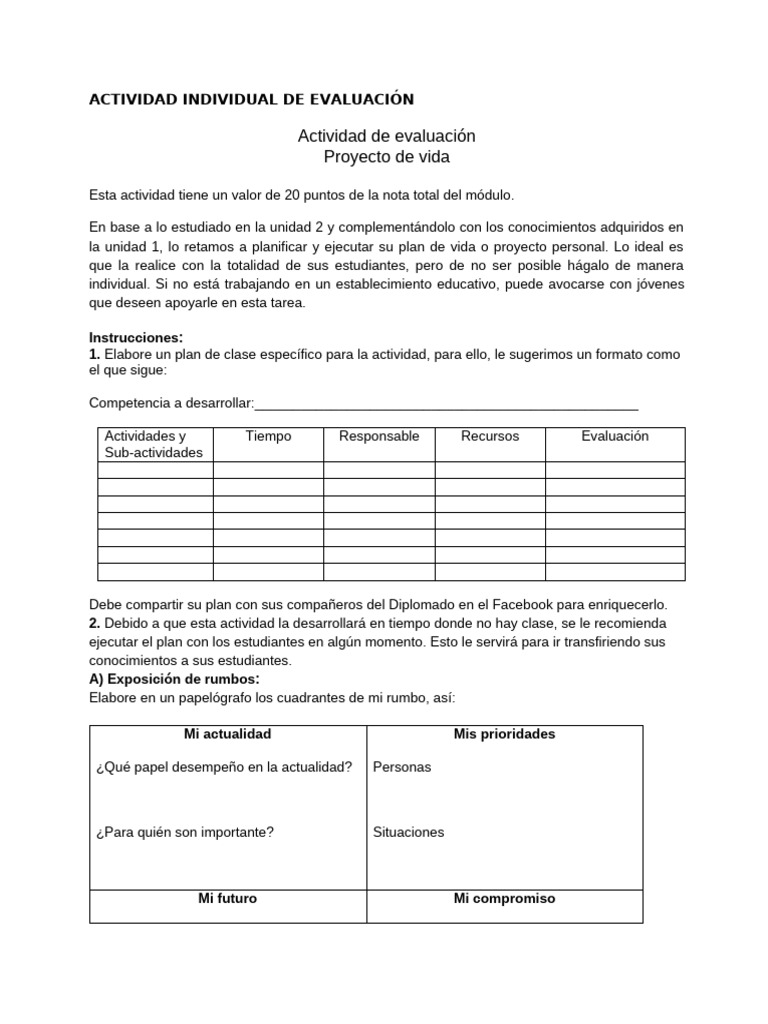 Activ Individual de Evaluación | PDF