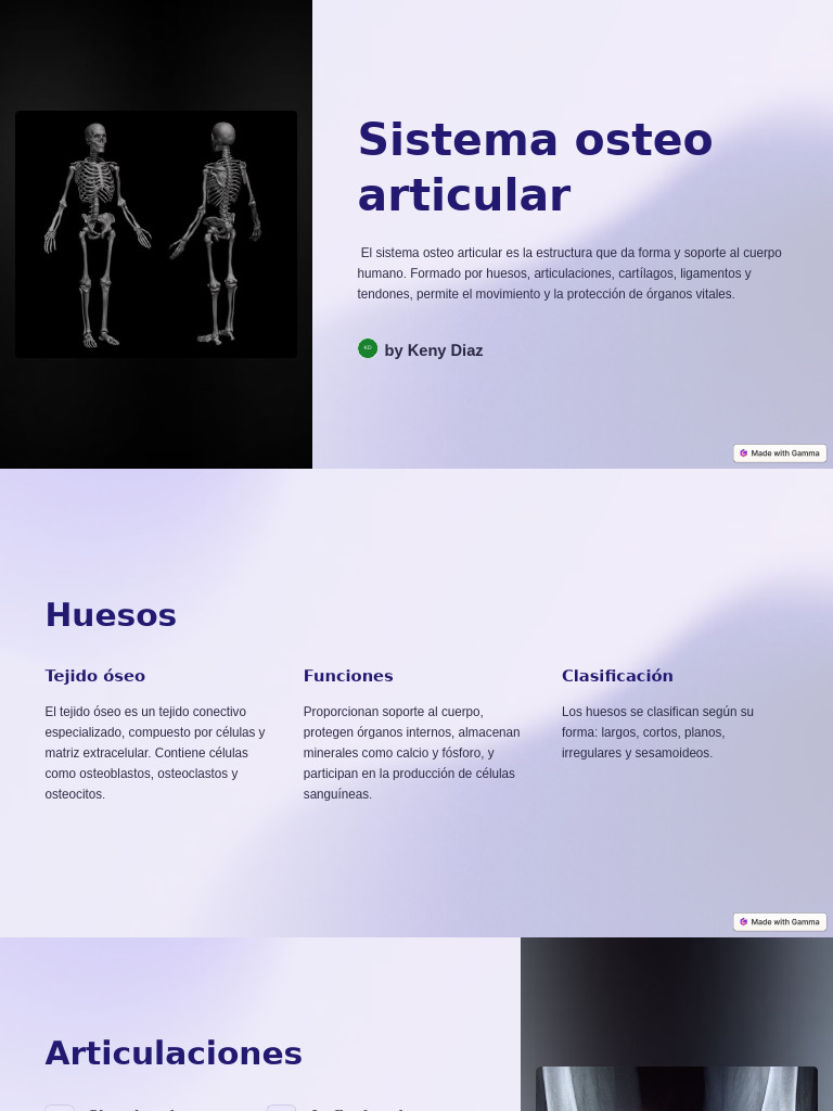 Sistema Osteo Articular | PDF