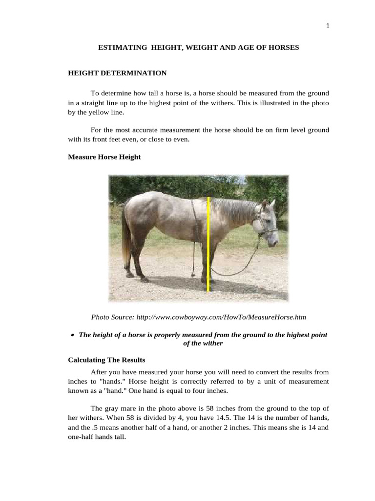 3 Height Weight Age of Horses | PDF | Tooth | Dentistry Branches