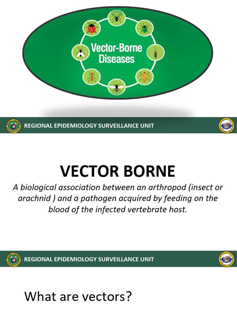 Vector Borne Disease | PDF