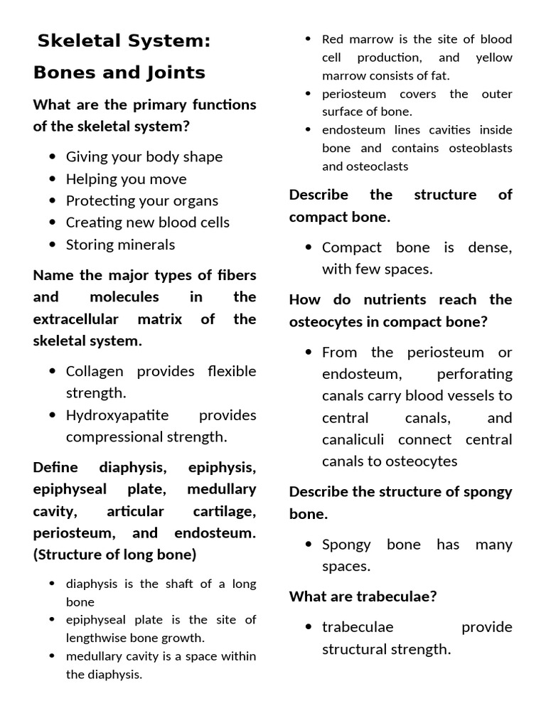 Skeletal System | PDF