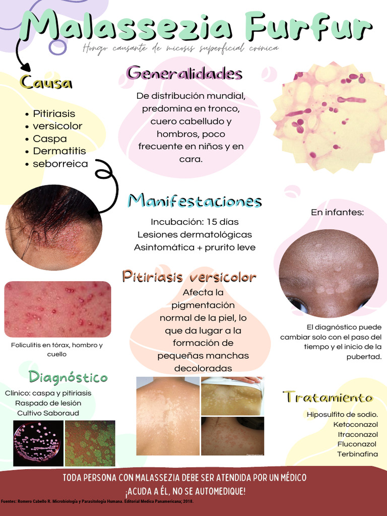 Infografía de Malassezia Furfur | PDF
