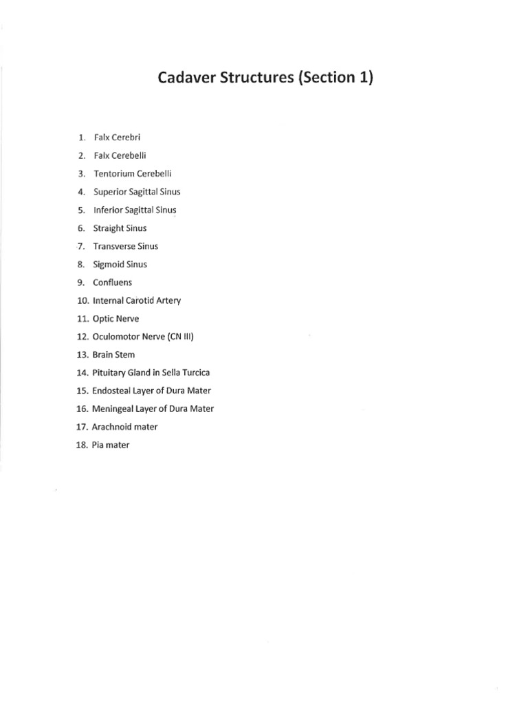 Section 1 - Cadaver Structures | PDF