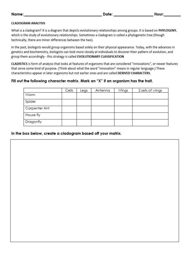 Brody Beaumier - D-Cladogram Worksheet | PDF