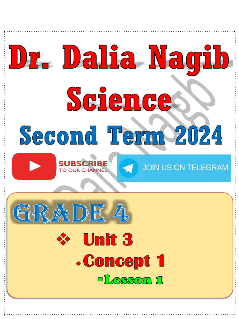 Grade 4 Unit 3 Concept 1 Lesson 1 - DR - Dalia Nagib | PDF
