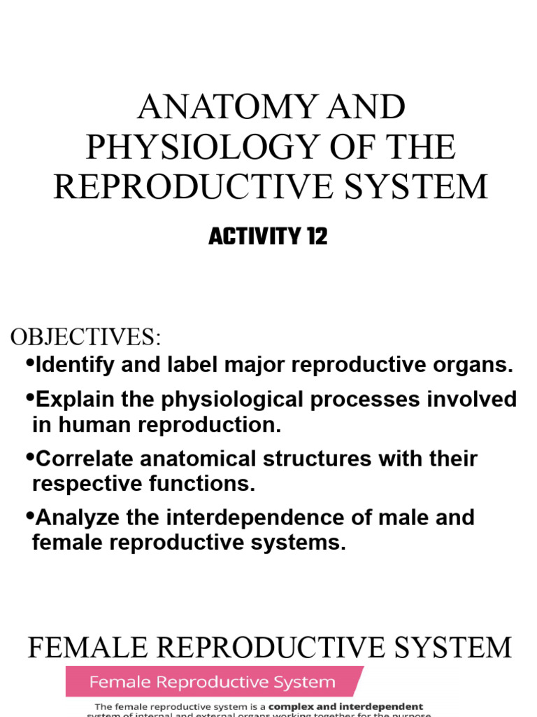 Anatomy and Physiology of The Reproductive System | PDF