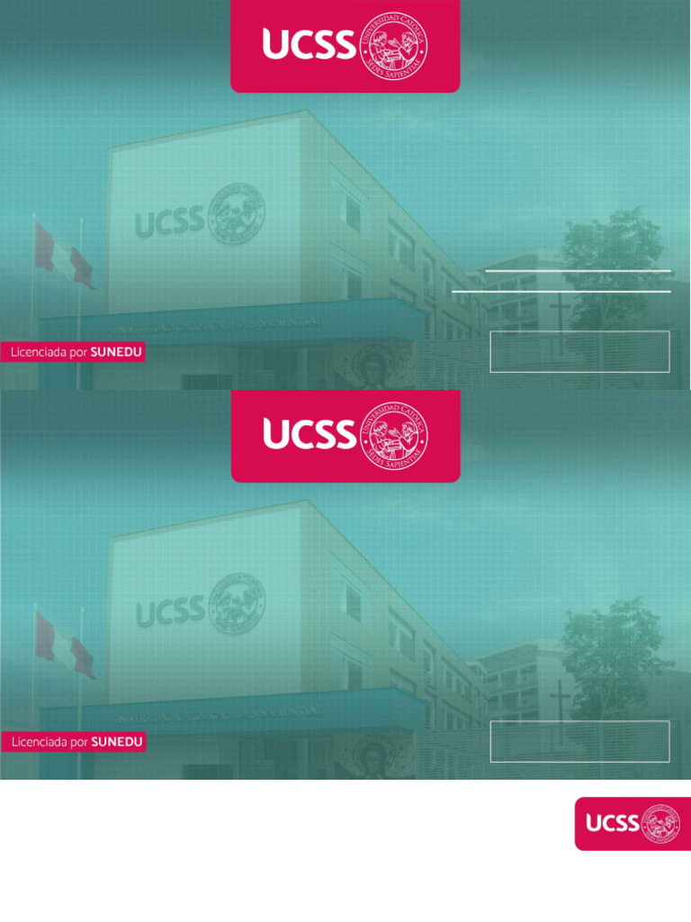 Psic. Organizacional 2024 | PDF