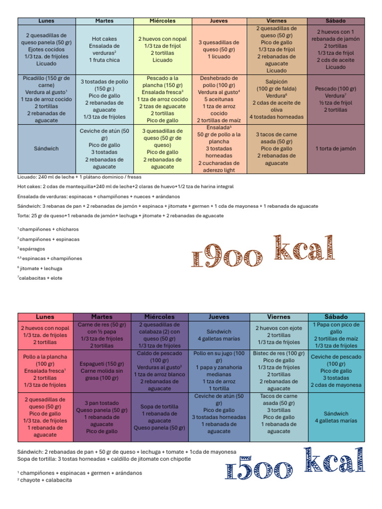 Dietas Salud Digna 1900 y 1500 | PDF