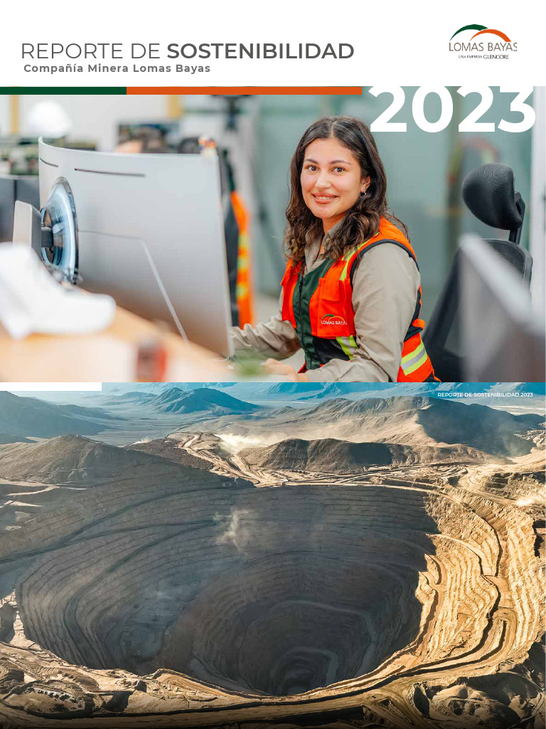 Reporte Lomas Bayas 2023 | PDF