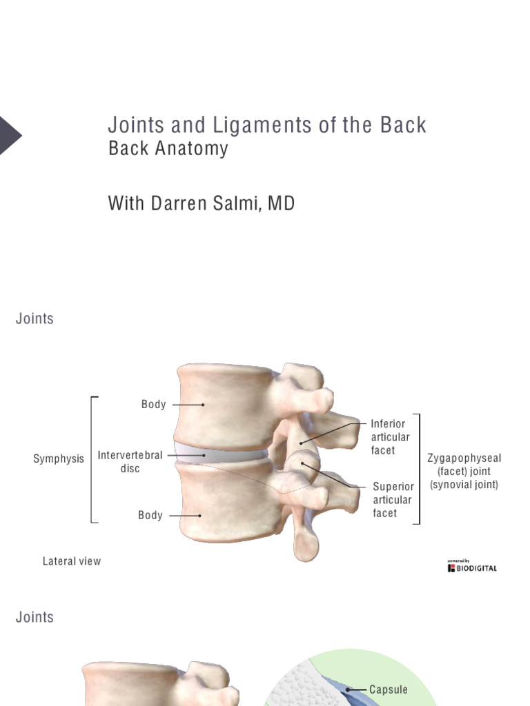 4 Joints and Ligaments of The Back | PDF