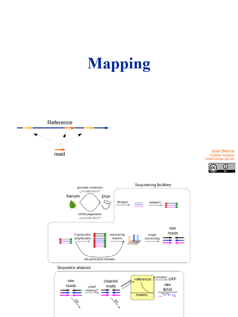 Mapping | PDF