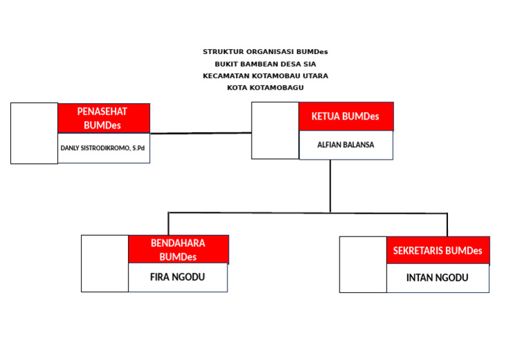 STRUKTUR ORGANISASI BUMDes | PDF