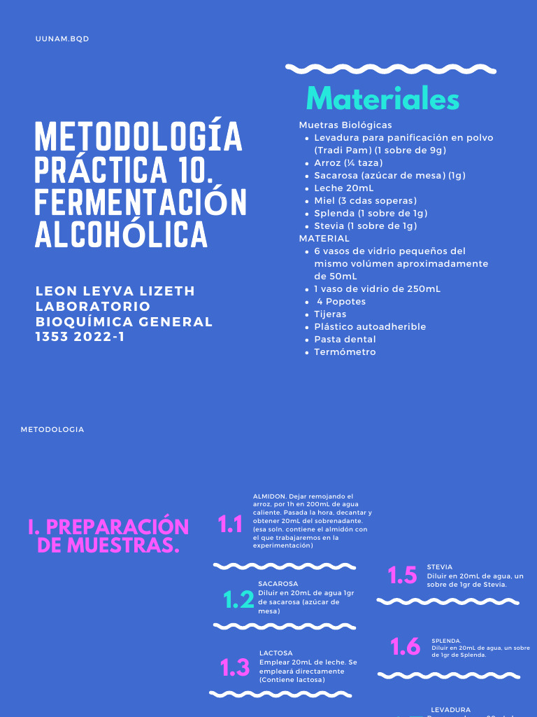 Metodologia 10 - Leon - Leyva - Liz | PDF