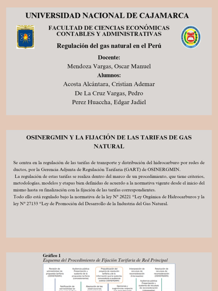 Regulación Del Gas Natural - OSINERGMIN | PDF