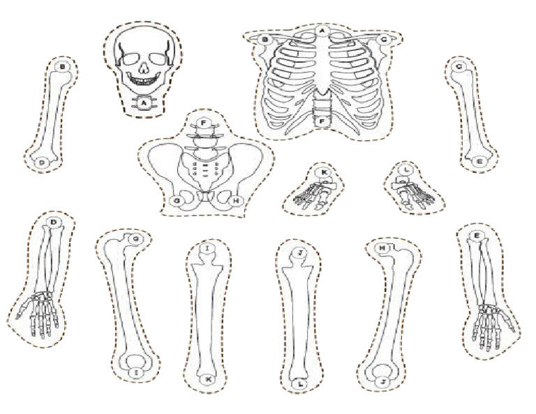 Print Tugas IPAS | PDF
