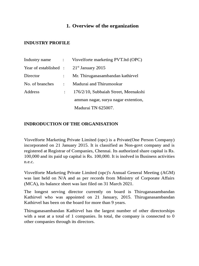 Overview of The Organization | PDF