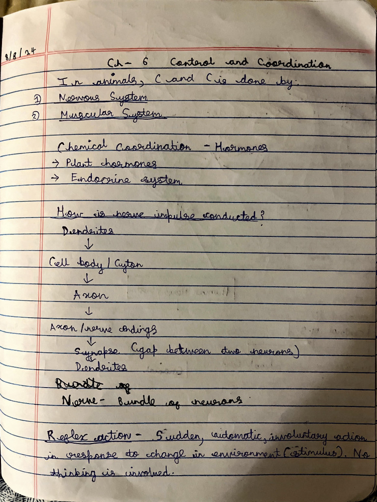 Bio Notes Control and Coordination | PDF
