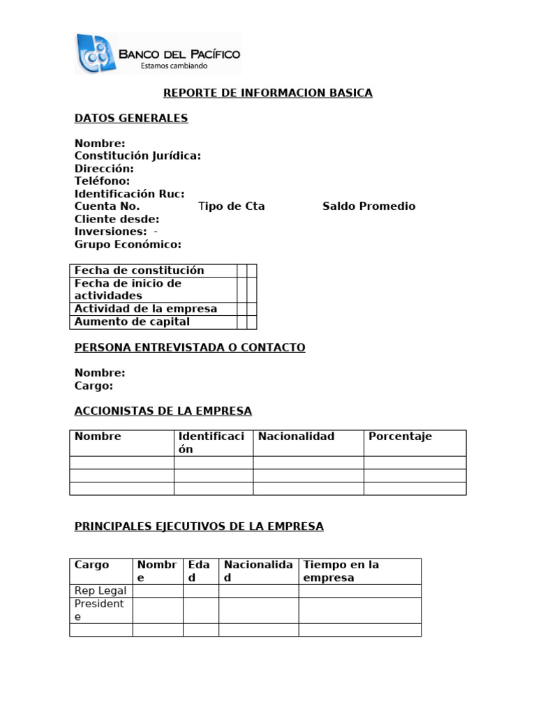 Nuevo Reporte de Informacion Basica 2013 | PDF