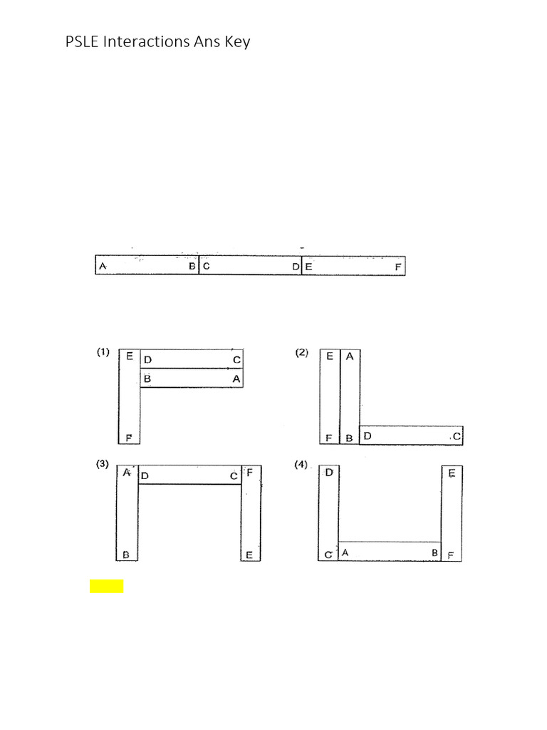 PSLE Interactions Ans Key | PDF