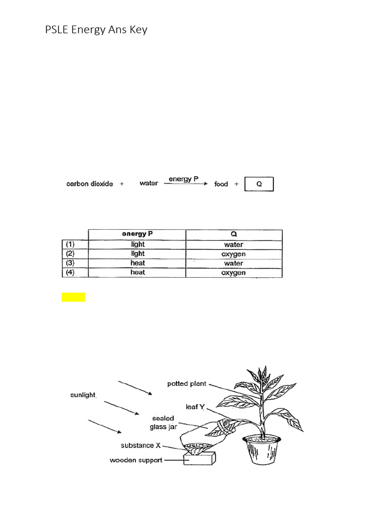 PSLE Energy Ans Key | PDF