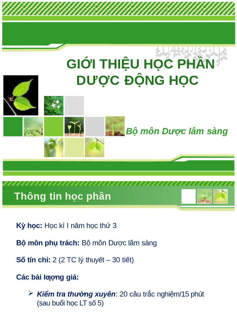 B1.Giới Thiệu Học Phần Dược Động Học-K11 | PDF
