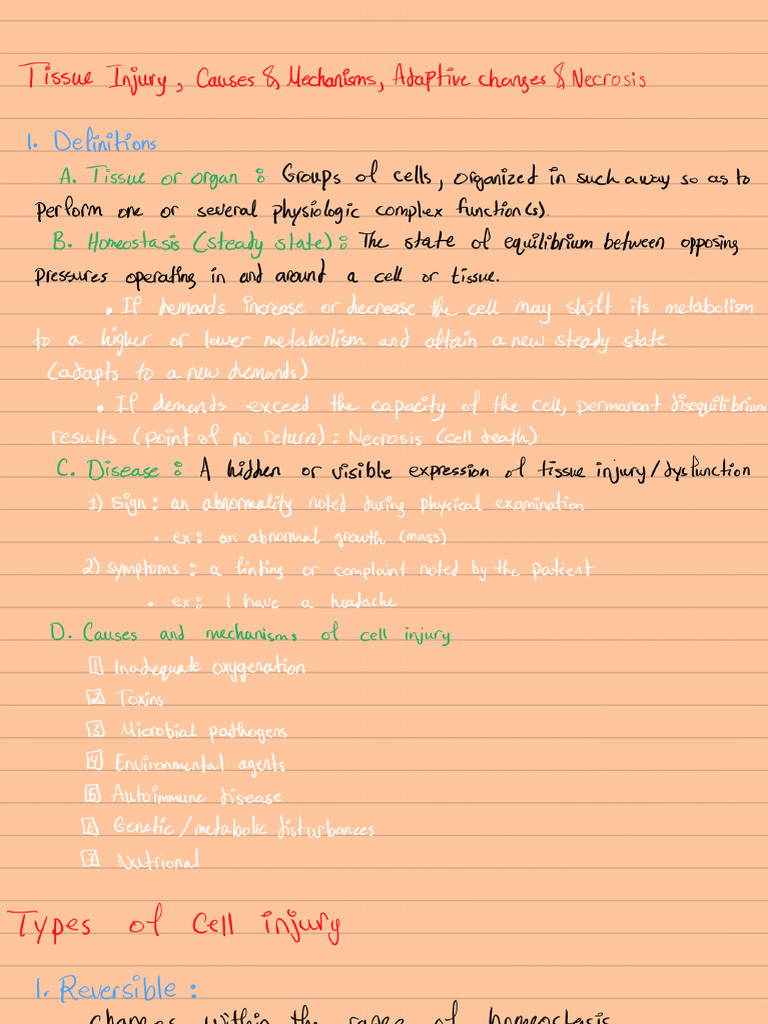 Week 1 Summary | PDF