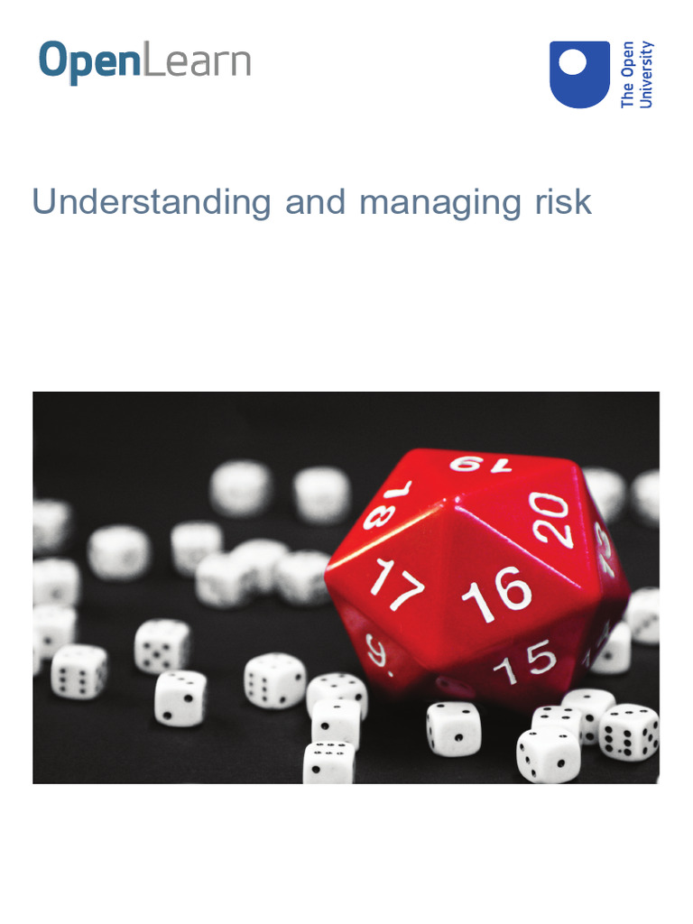 Understanding and Managing Risk Printable | PDF