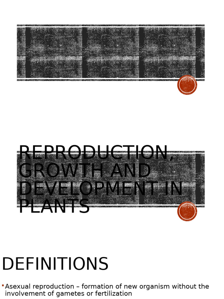 Reproduction in Plants - IGCSE | PDF