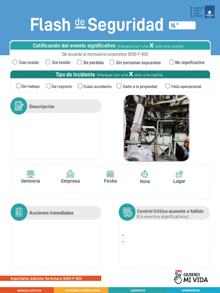 Flash de Seguridad N°010 | PDF